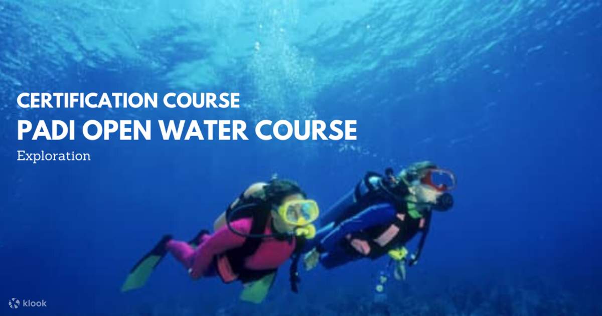 Scopri i corsi Open Water Diver a Kota Kinabalu con un Dive Center PADI - Klook Stati Uniti